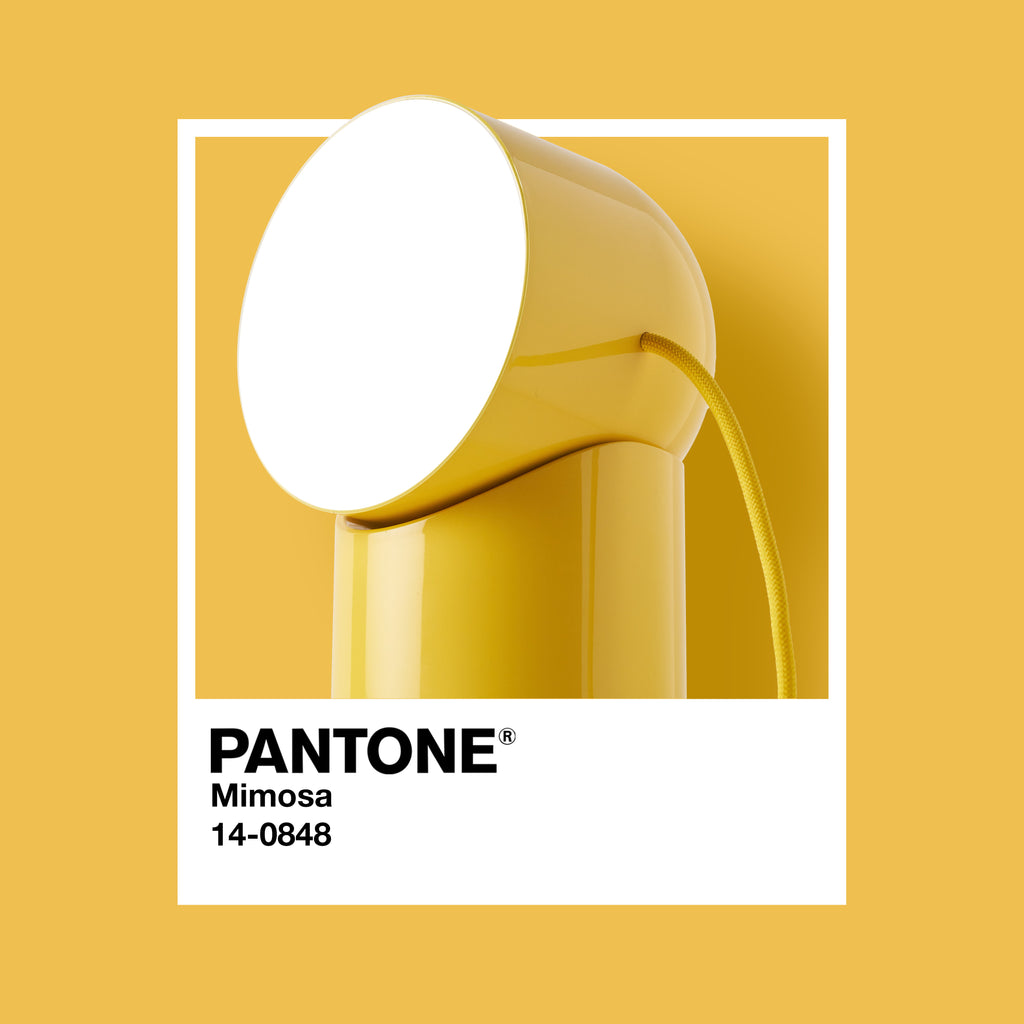 LEXON x PANTONE Orbe Light Portable LED lamp – Mission Shop